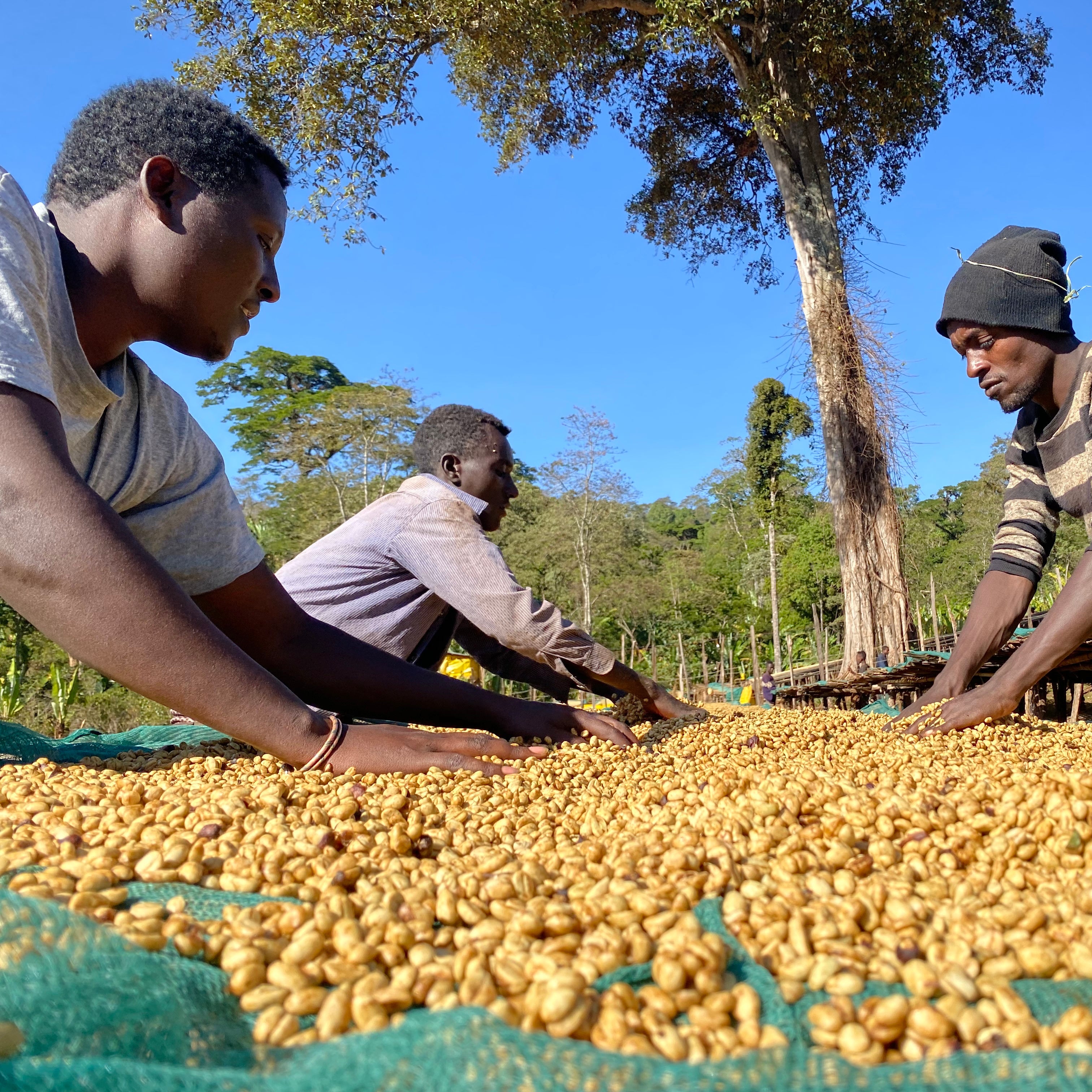 熊本おすすめ コーヒーショップ JUNCTION Coffee Roaster