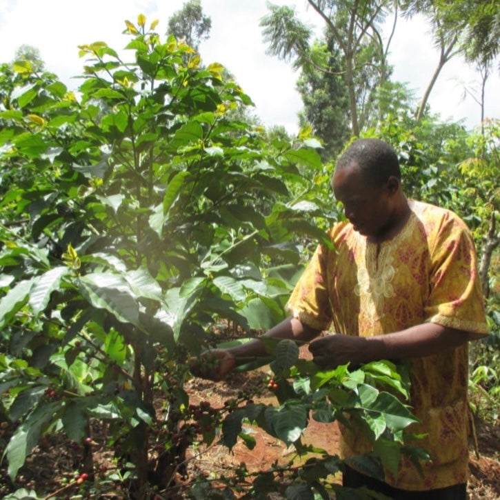熊本おすすめ コーヒーショップ JUNCTION Coffee Roaster
