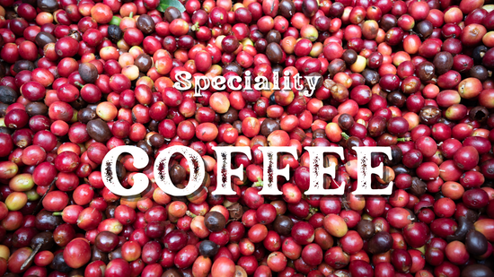 熊本おすすめ コーヒーショップ JUNCTION Coffee Roaster