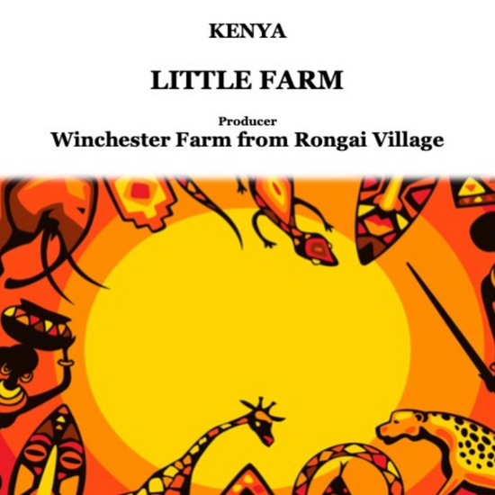 熊本おすすめ コーヒーショップ JUNCTION Coffee Roaster